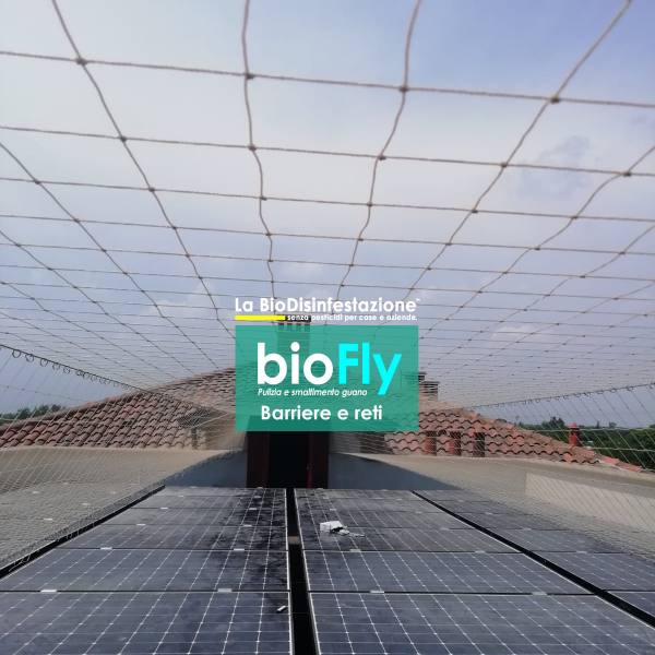 La Bio Disinfestazione™ per Allontanamento Volatili | BioFly