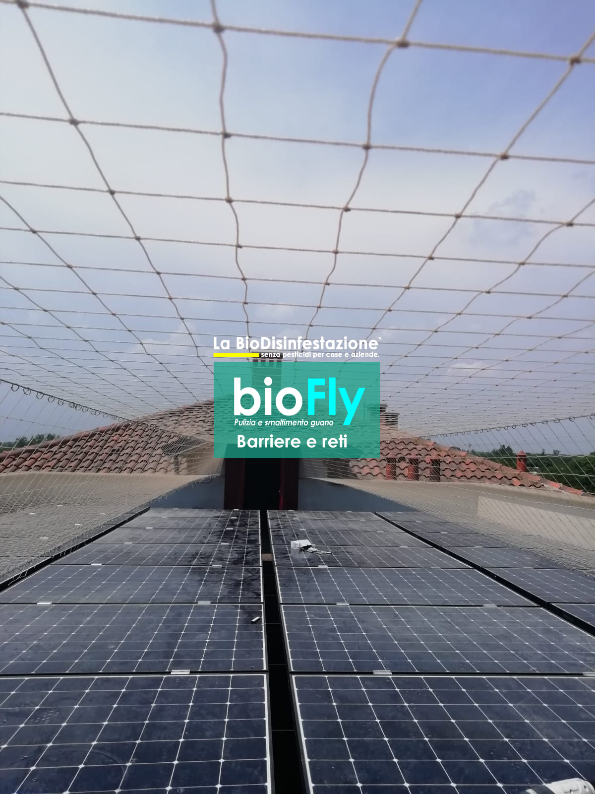 La Bio Disinfestazione™ per Allontanamento Volatili | BioFly